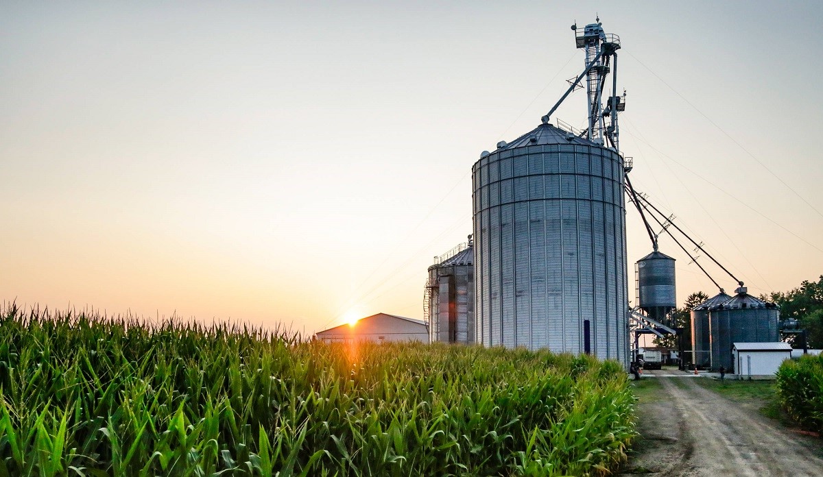 Lambton Grain Storage, Grain Handling And Grain Conditioning Systems